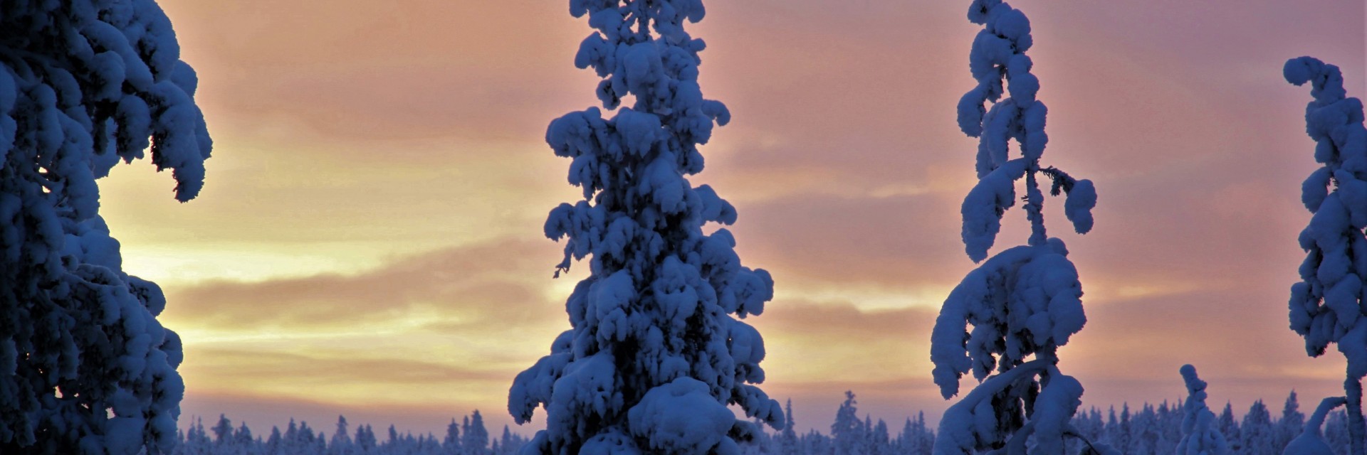 Viaggi in Finlandia e Svezia, Stoccolma tra i colori del ghiaccio e in ...